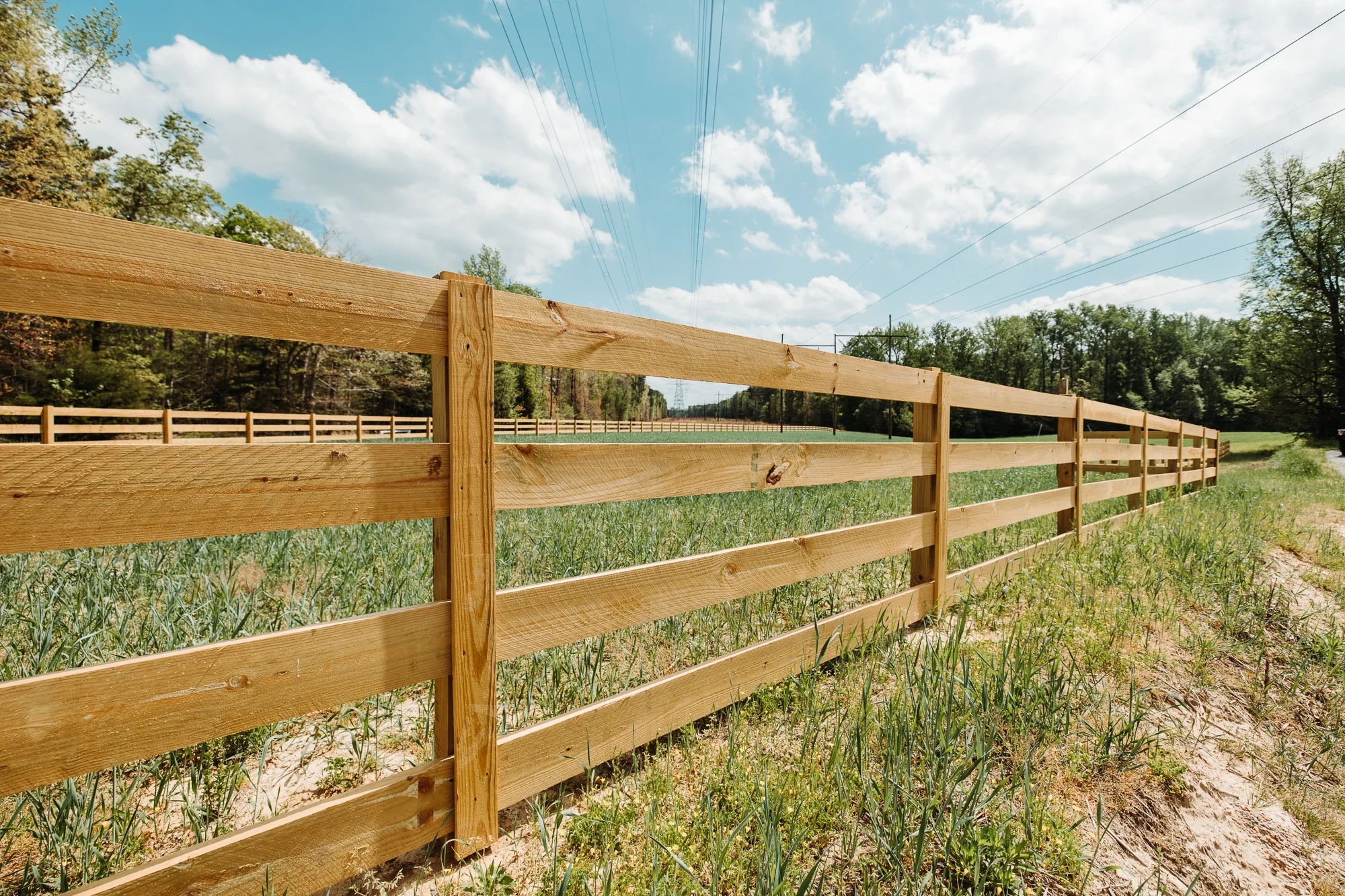 Residential Fencing - Rowe Fence
